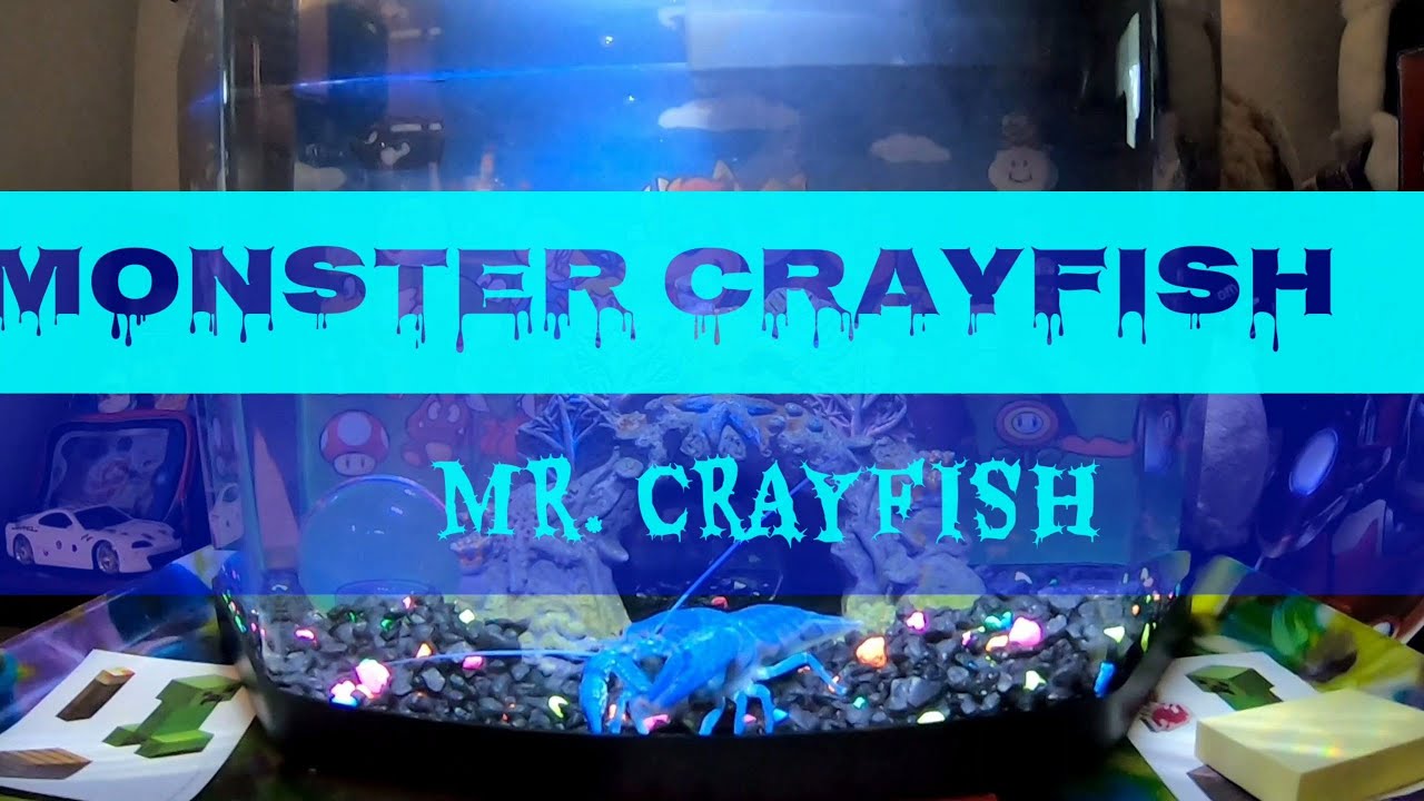 Mrcrayfish