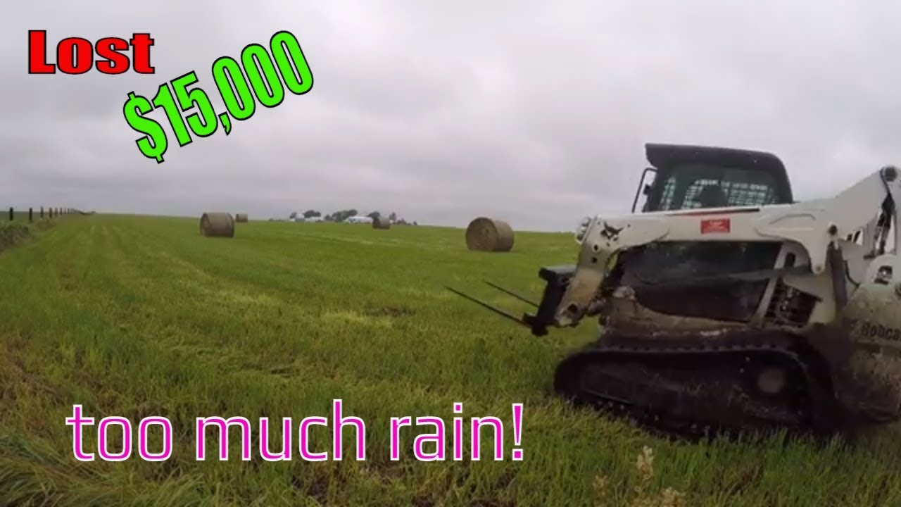 Lost $15,000 of hay crop! RUINED hay Too much rain! moving bales - YouTube
