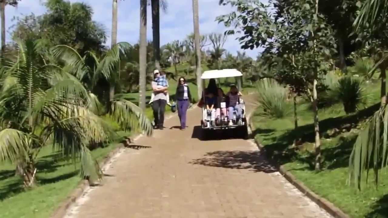 Parque Inhotim - maior museu a céu aberto do mundo fica em MG - YouTube
