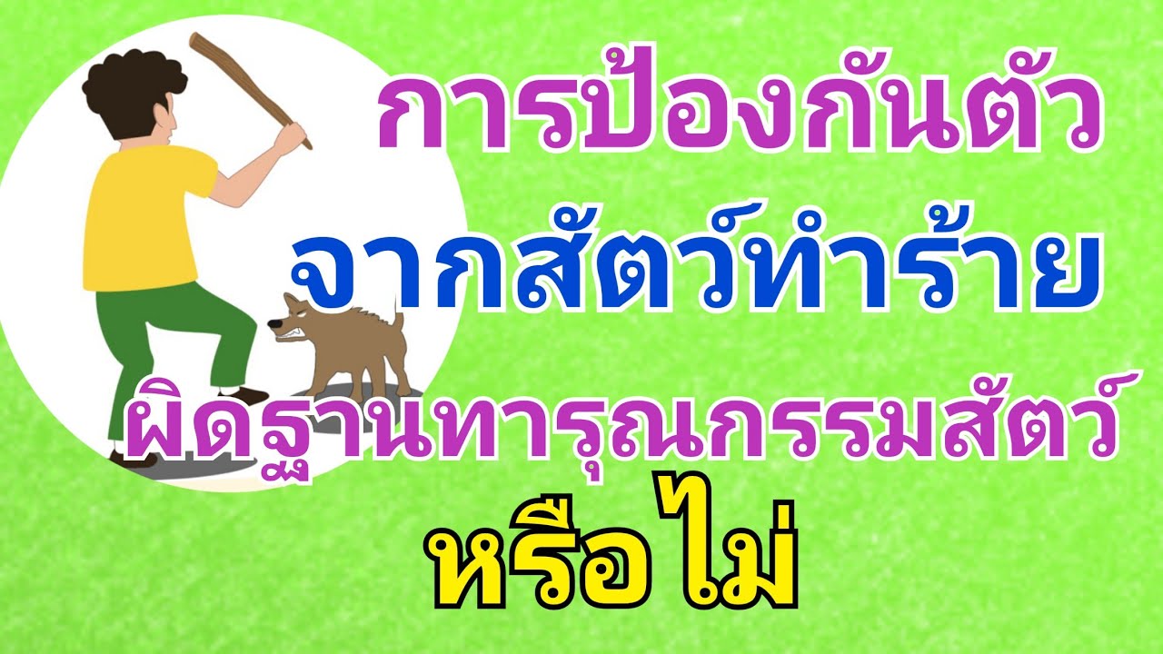 การป้องกันตัว - YouTube