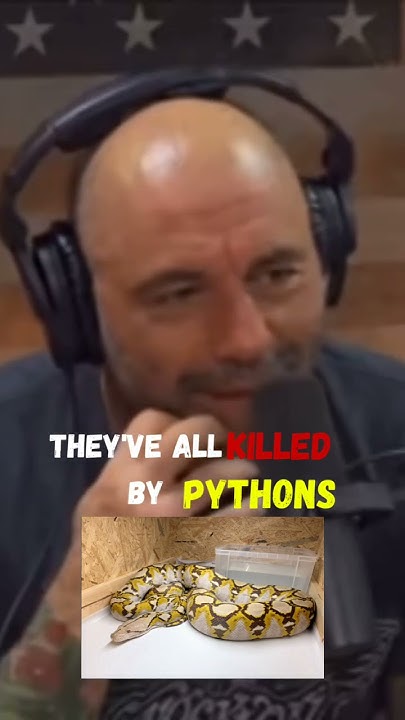 Joe Rogan on Python Snakes killing animals - YouTube