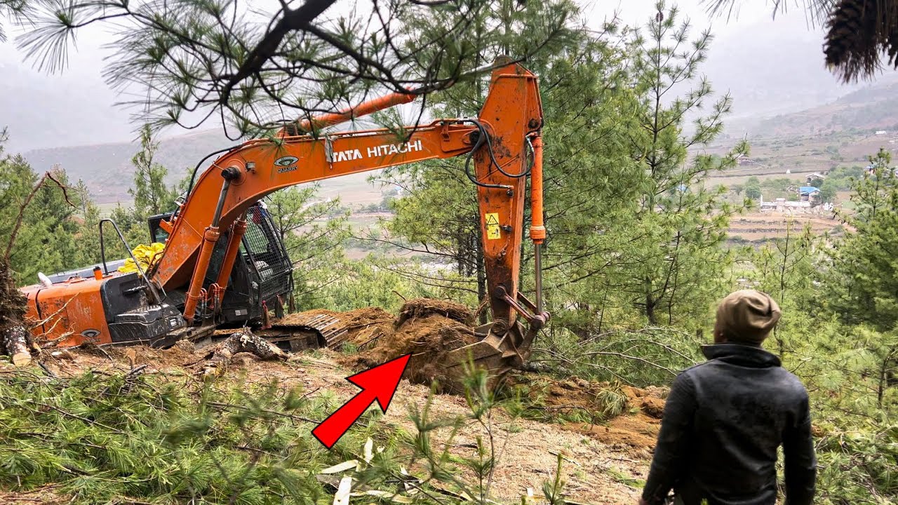 Excavator Removes Trees & Cuts Road Through Forest Hills - YouTube
