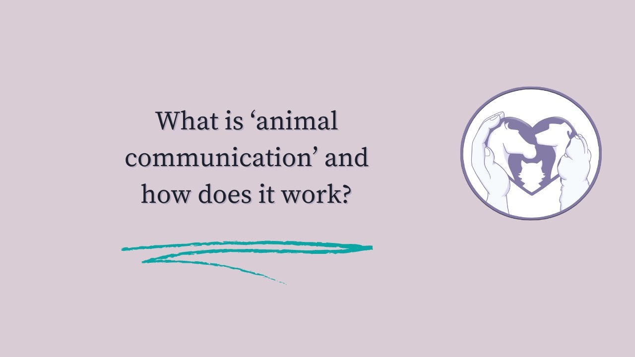 Unlocking The Secrets Of Animal Communication: What You Need To Know ...