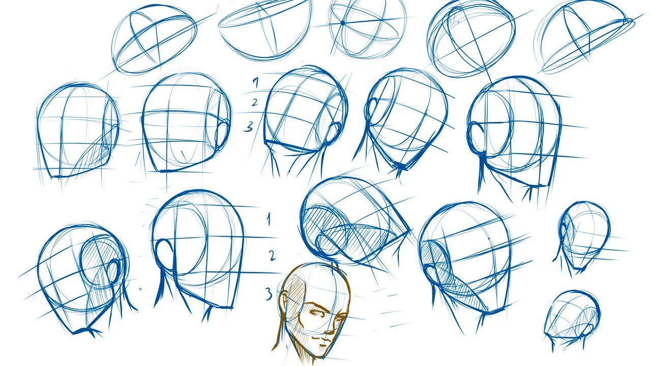 How To Draw The Head From Any Angle Basic Head Sketching Tutorial 