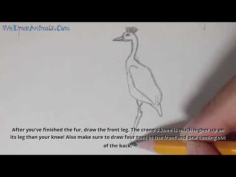 How to Draw a Crane In 8 EASY Steps - GREAT for Kids & Beginners - YouTube