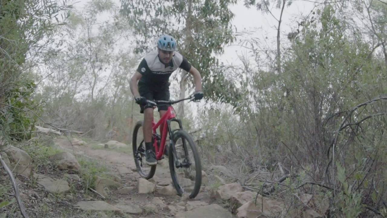 Silverback Slider & Sprada - IDS Technology - YouTube