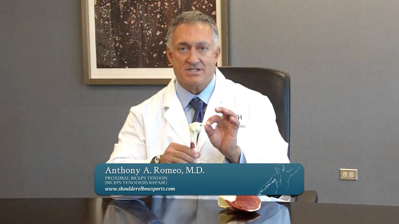 Proximal Biceps Tendon (Biceps Tenodesis Repair) - YouTube