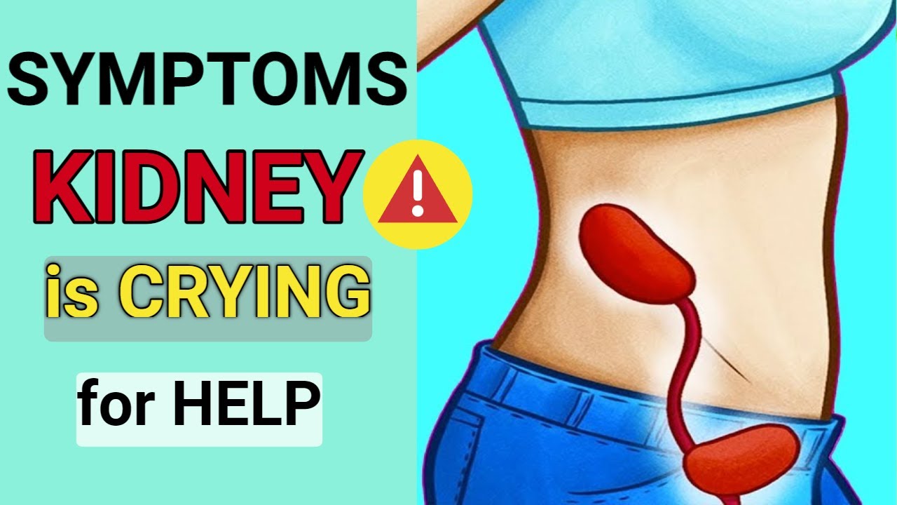 10 Signs Your Kidneys Are Crying For Help - YouTube
