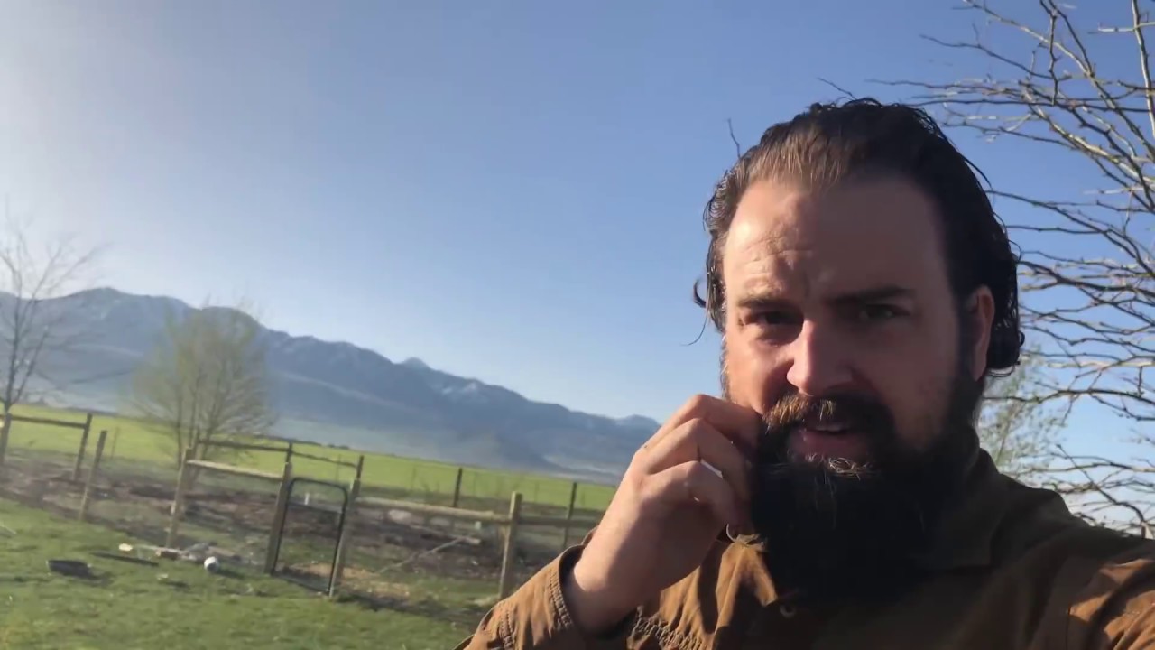 The Willows Of Willow Creek Homestead - YouTube