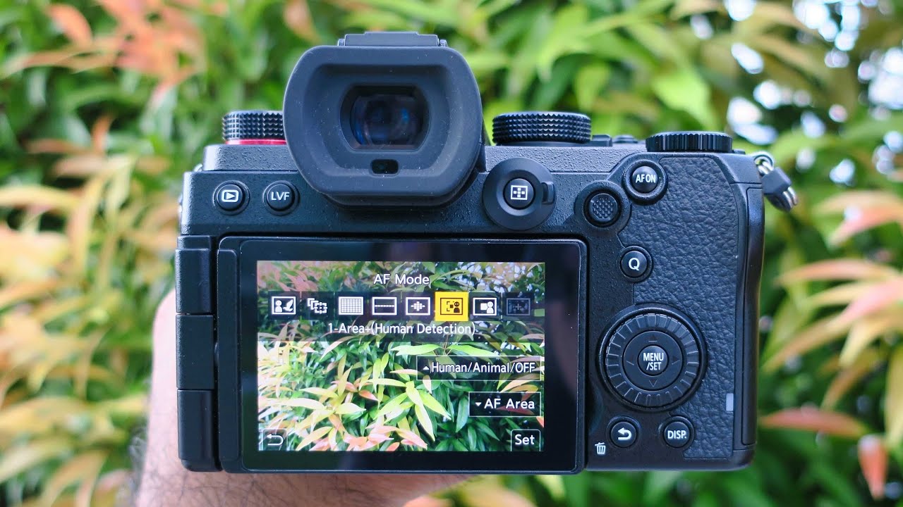Panasonic Autofocus Mode: 1-Area vs 1-Area+ vs Zone (Oval) vs Zone vs ...
