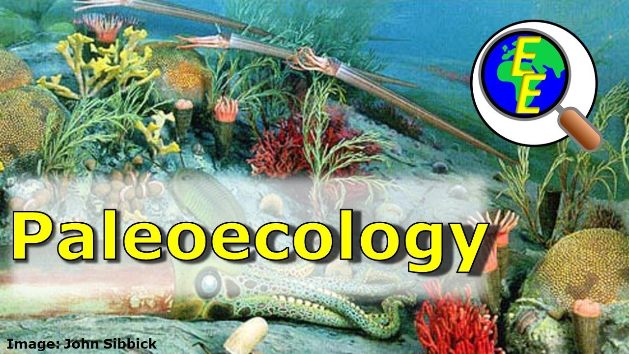 Paleoecology: Reconstructing Ancient Ecosystems - YouTube