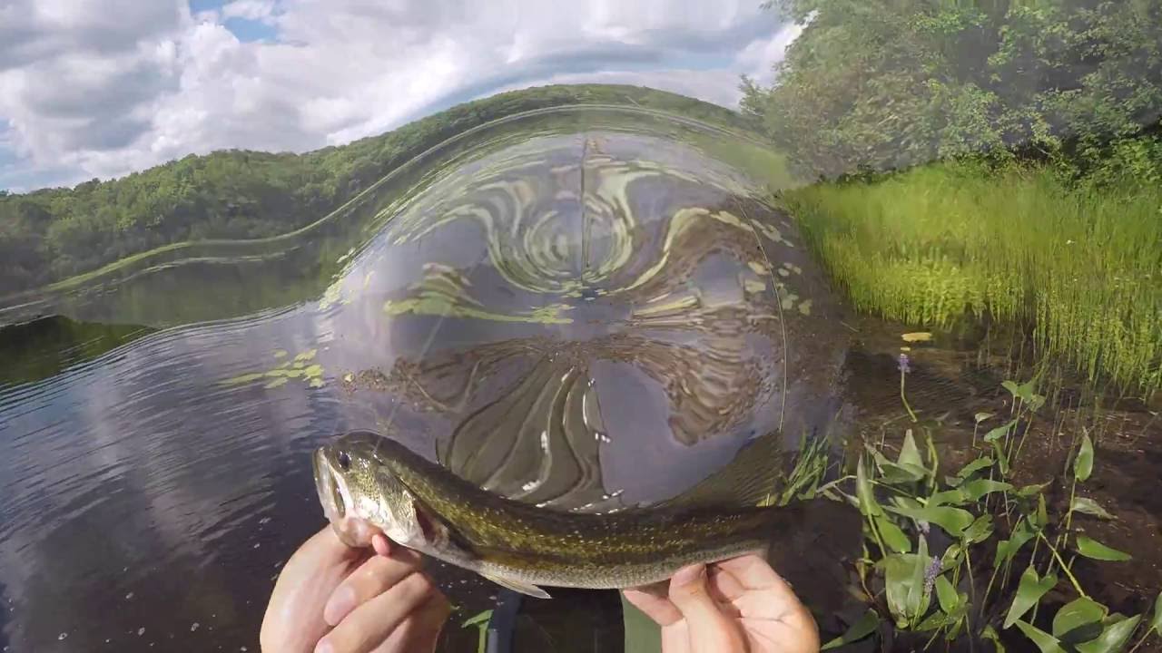 GoPro Bass Fishing with Wacky Rigged Worms - YouTube