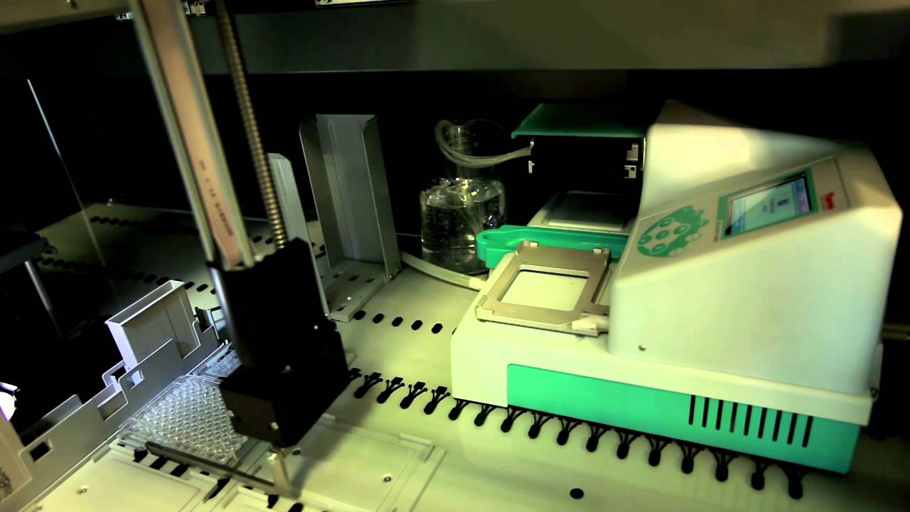 Colony picking - fully automated screening of fungi - YouTube