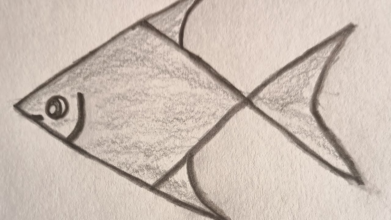 How to draw a pomfret fish//easy drawing//2025//video - YouTube