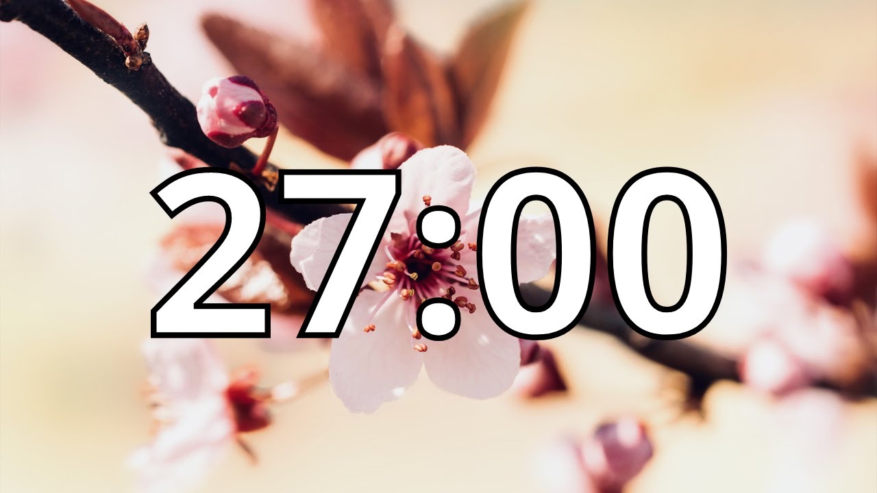 27 Minutes Timer with Music | Cherry Blossom Timer - YouTube