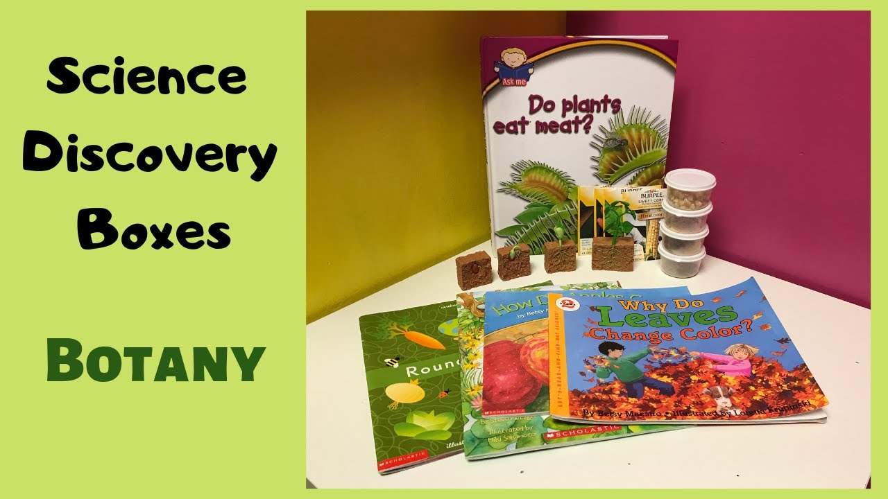 Homeschool Science: What's in our Botany Discovery Box? - YouTube