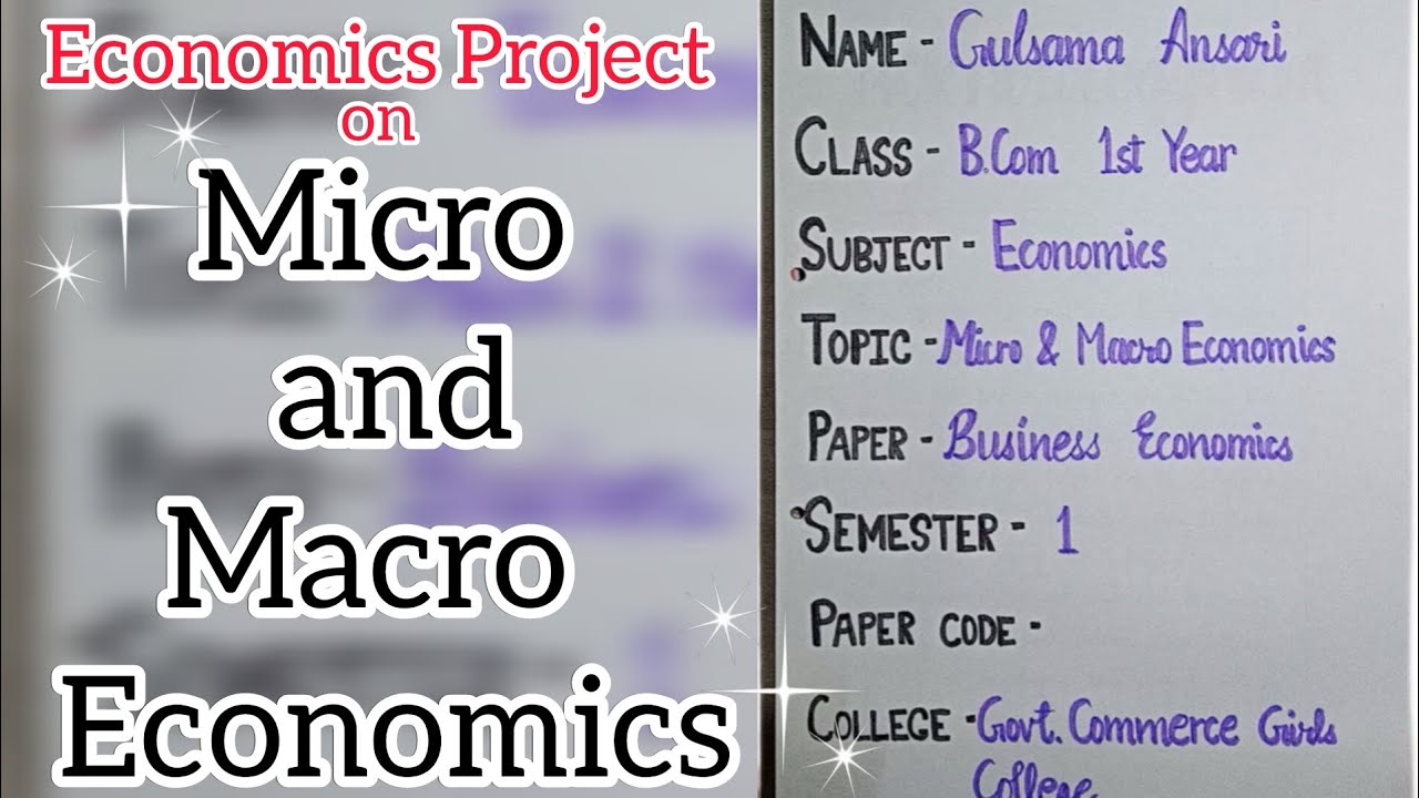 B.Com 1st Year Project on Micro and Macro Economics | Business ...
