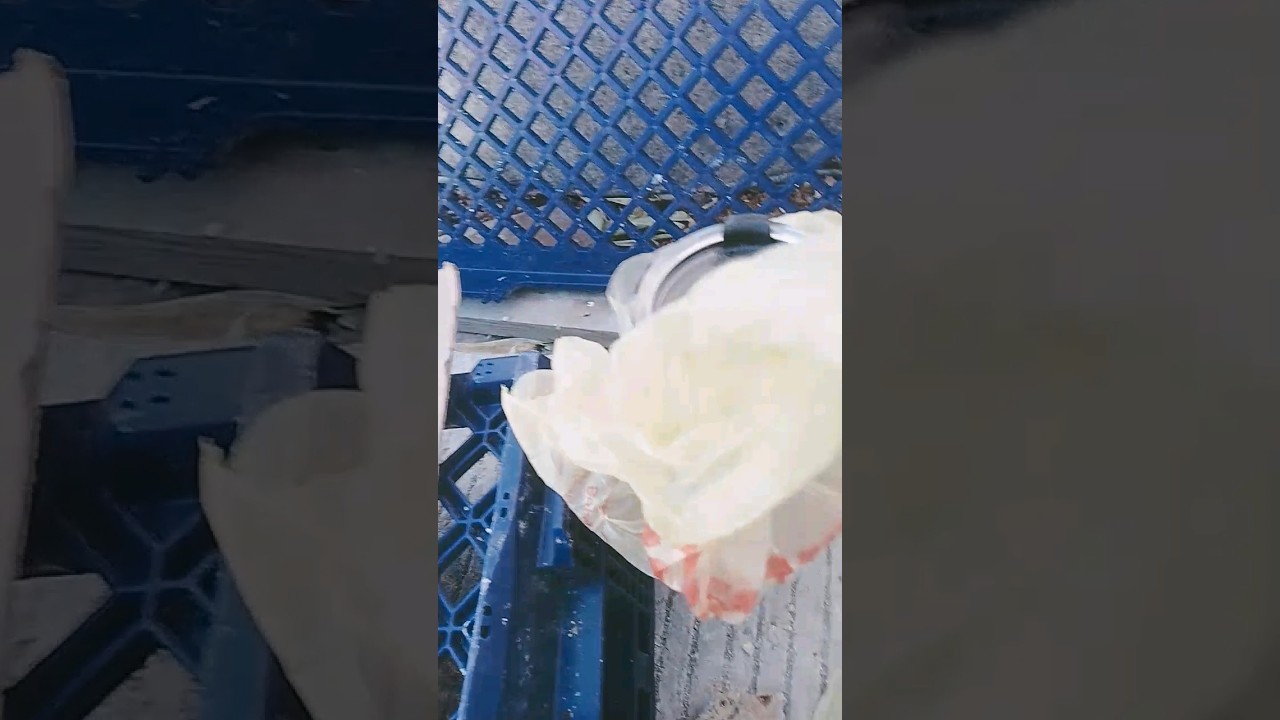 29 janvier 2024 - YouTube