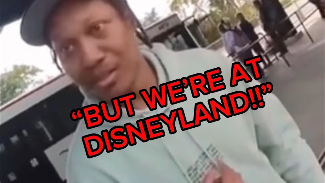 COP FINDS SUSPECT AT DISNEYLAND | Police Bodycam Footage - YouTube