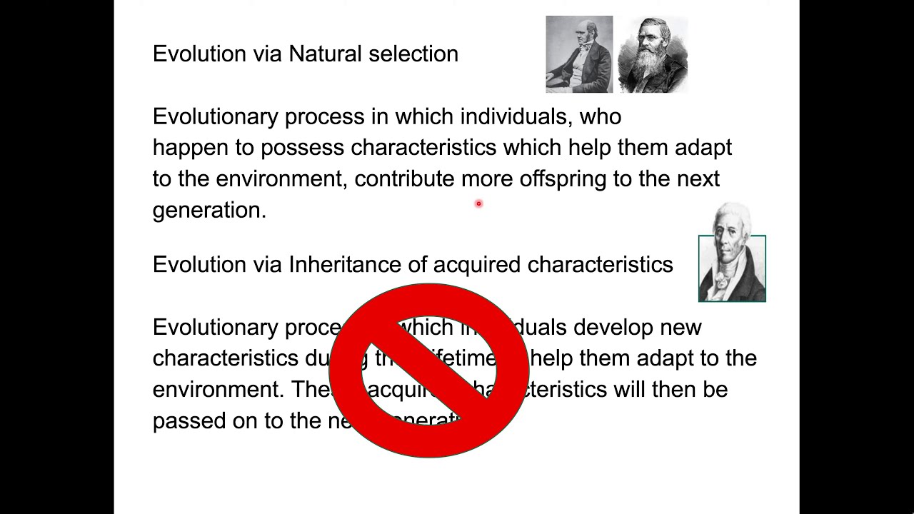 Evolution via Natural Selection - YouTube