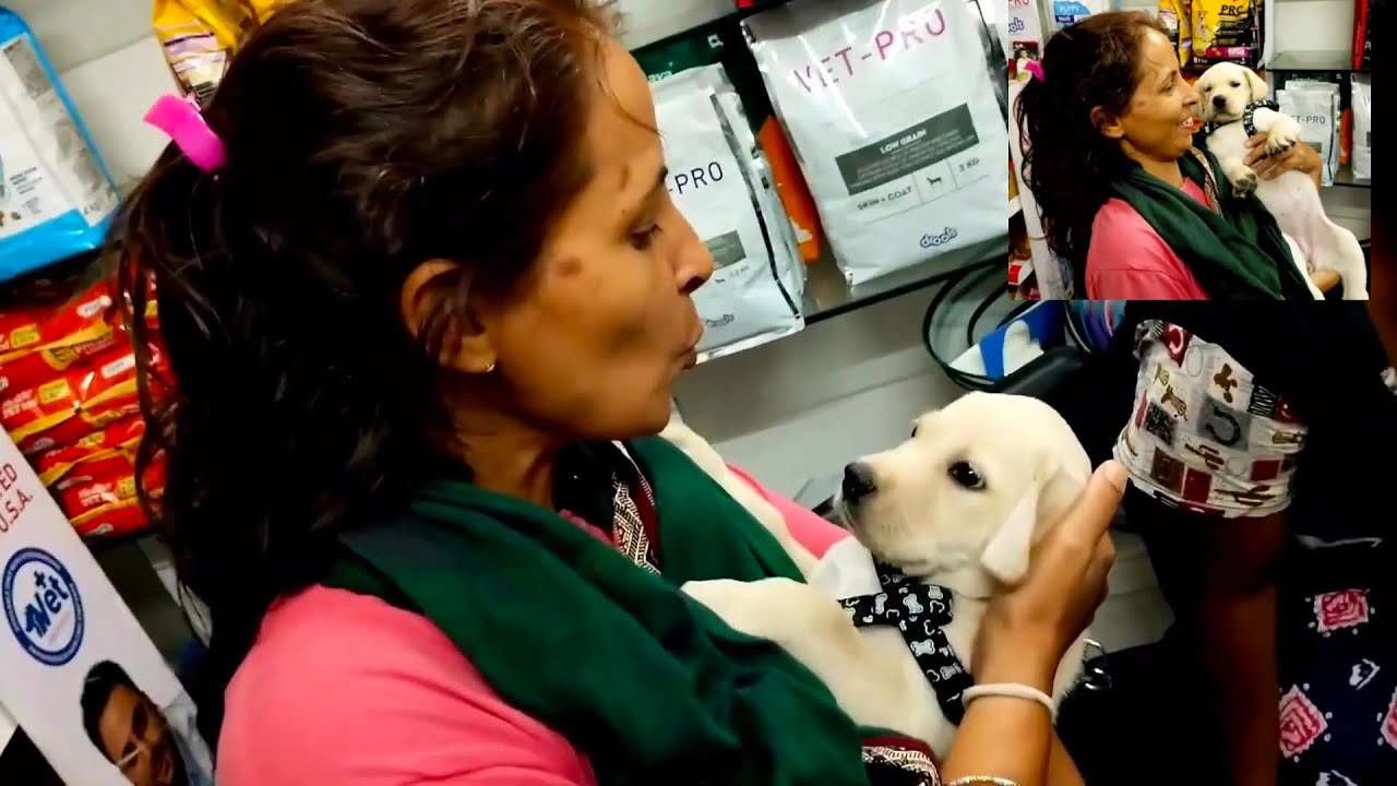 Ek Aur Puppy Dog Lene Chale Gaye 😱#mistypanchal #animalslovers # ...