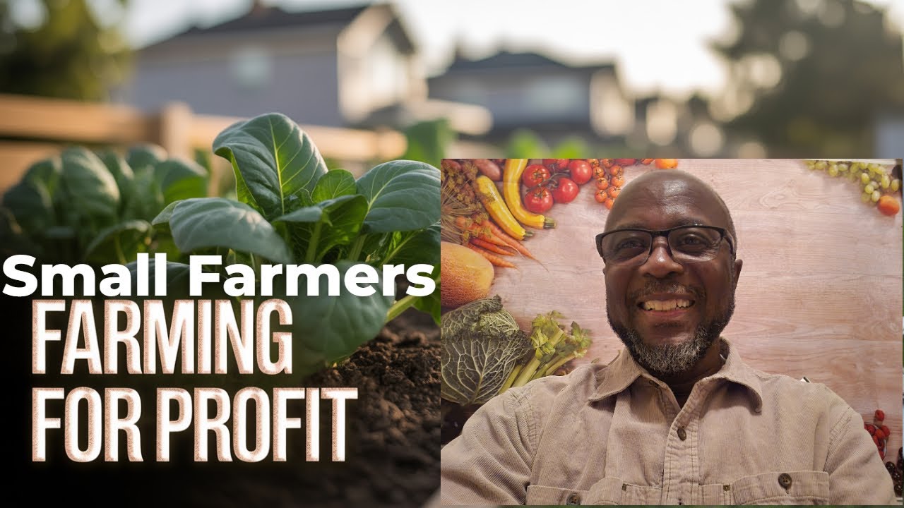 Can Small Farms Save America's Forgotten Communities? - YouTube