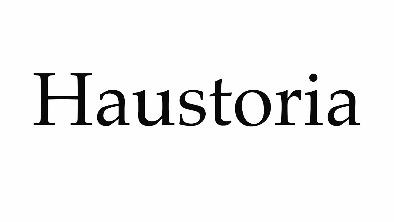 How to Pronounce Haustoria - YouTube