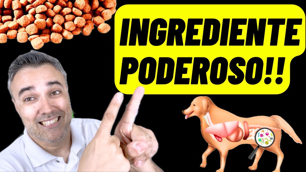 O PODER do MOS FOS GOS na ração! 👉Só compro se tiver! | Cães e gatos ...