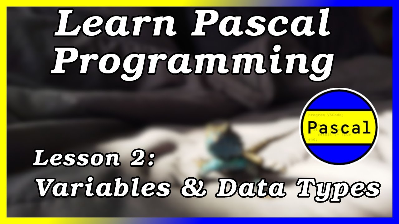 Variables Data Types Pascal Tutorial Part 2 YouTube