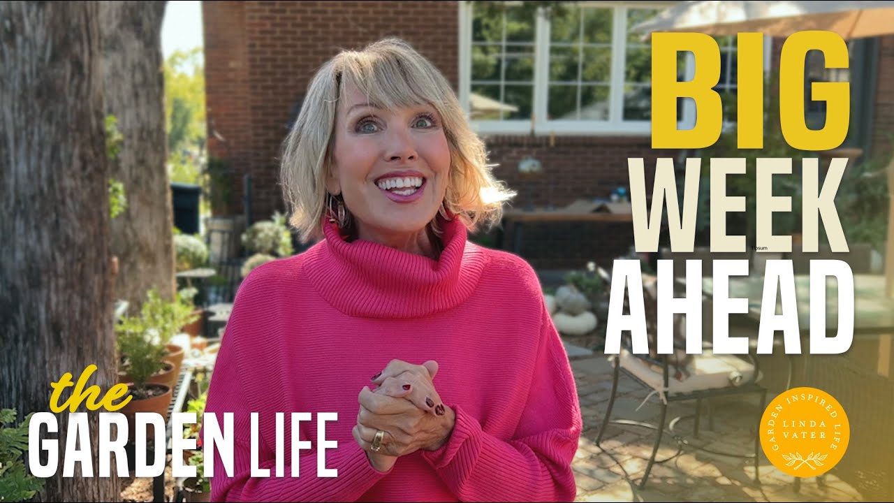 A Big Week Ahead! - YouTube