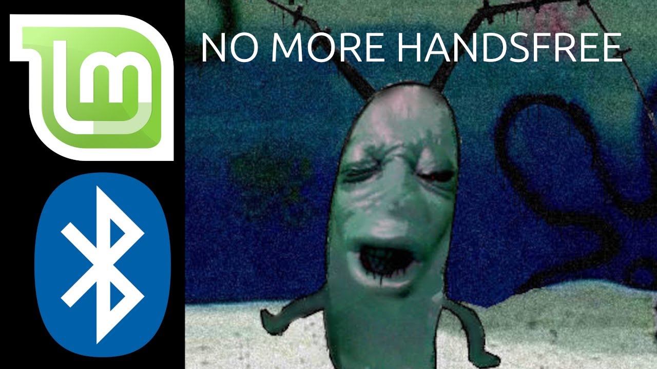 Linux Mint 22 - How to Disable Hands-Free/Headset Bluetooth Profiles ...