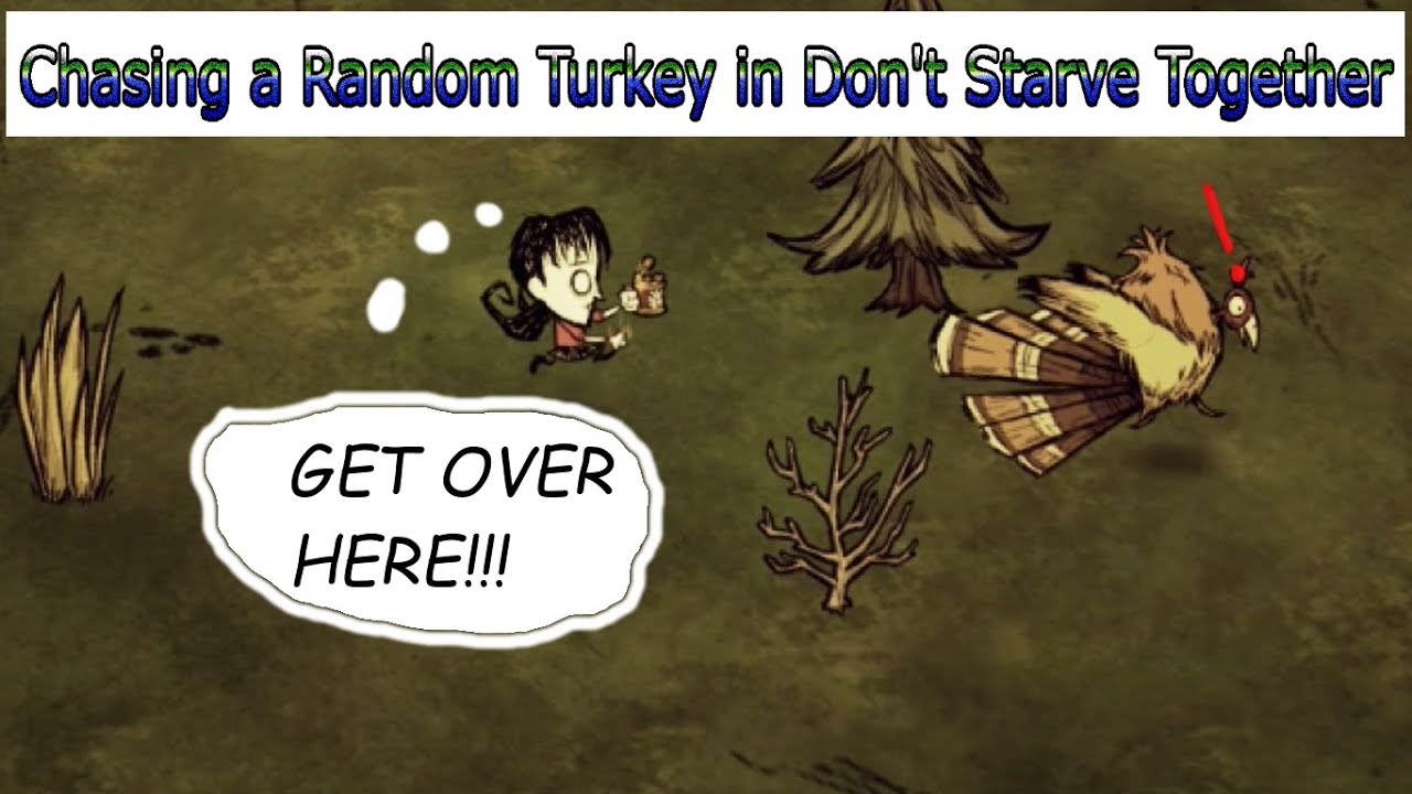 Chasing a Random Turkey in Don't Starve Together - YouTube