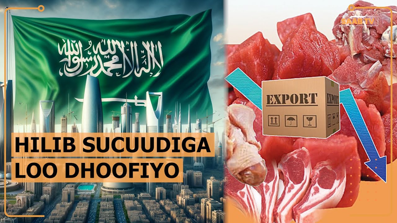 Suuqii ugu weynaa ee xoolaha Soomaalida oo yeeshay macaaniil kale - YouTube