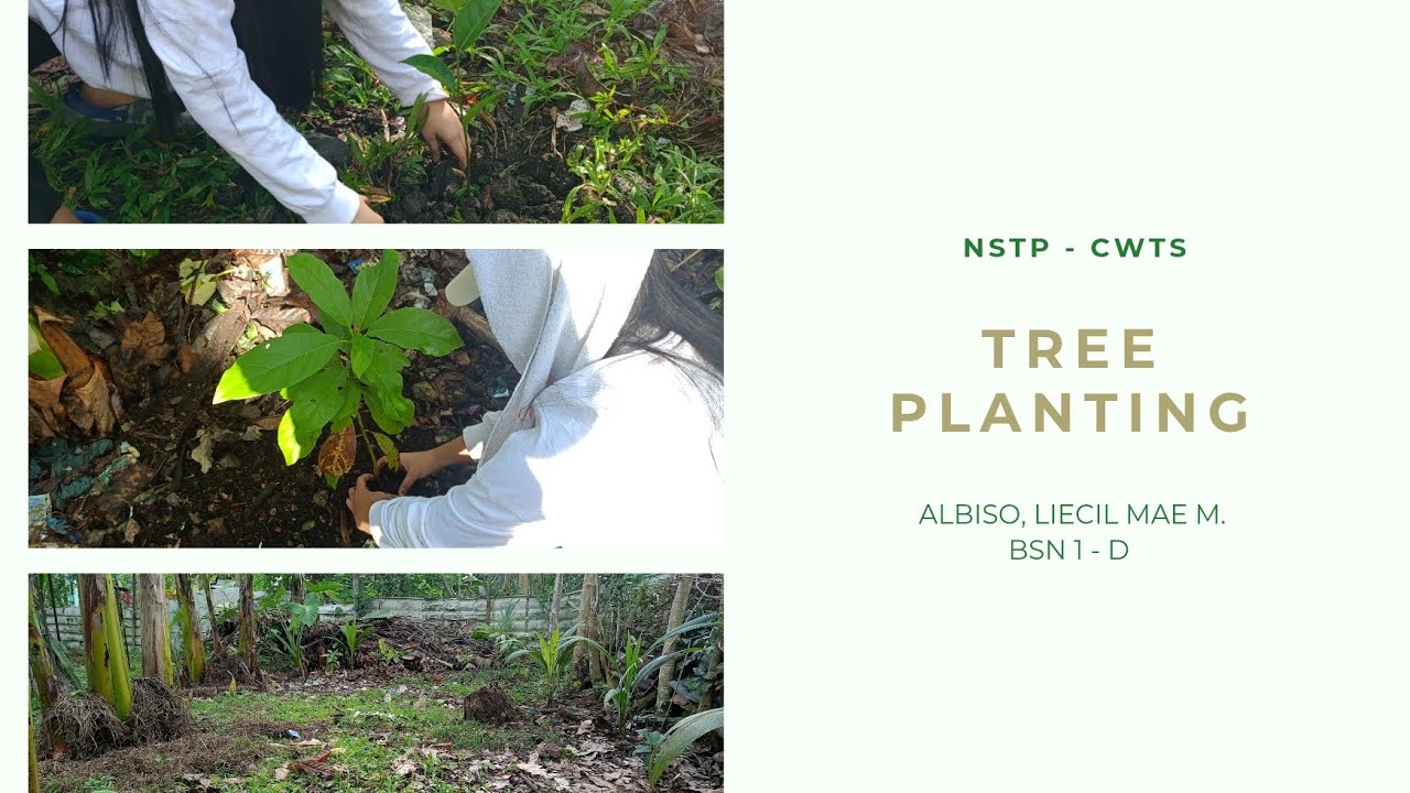TREE PLANTING🌱🌳 NSTP - CWTS & WIT_SCI - HOLY NAME UNIVERSITY - ALBISO ...
