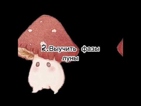 Как стать ведьмочкой-травницей🌿#травница#ведьмочка - YouTube