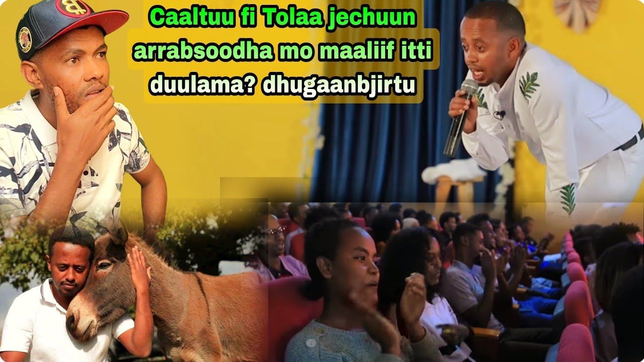 Caaltuu fi Tolosaa jechuun arrabsoodha mo ? Isheetuun maal balleese ...