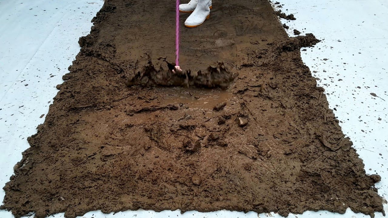 Terrible mud carpet - Repairing the carpet that was buried in mud for a ...