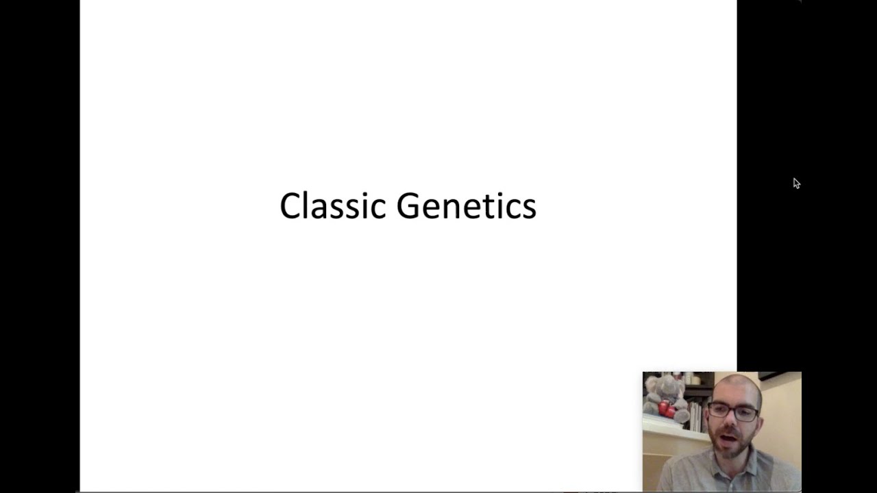 Mendelian Genetics - AP Biology - YouTube