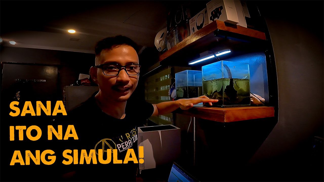Garaheng puno ng aquarium at isda | Fresh Water Aquariuum - YouTube