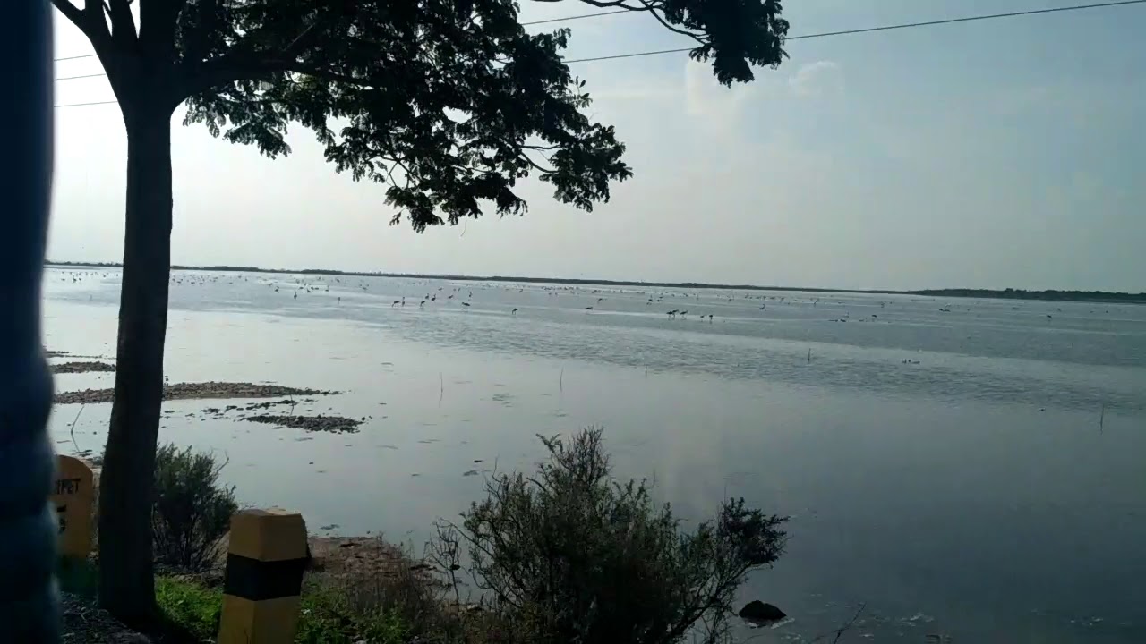 pulicat lake - YouTube