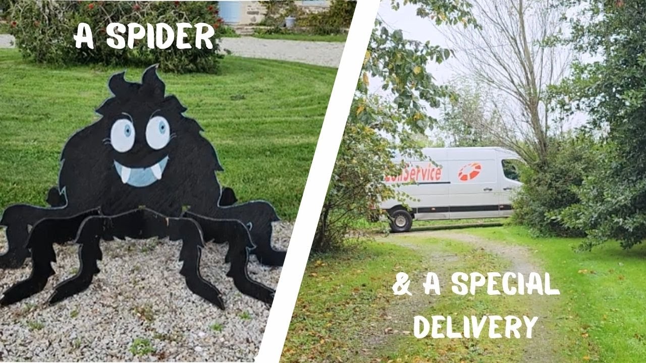 A Spider & A Special Delivery - YouTube