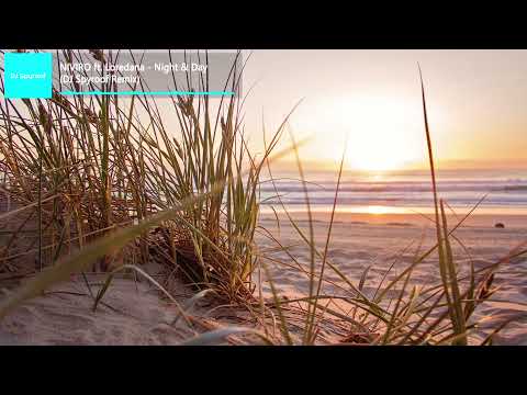 NIVIRO ft. Loredana - Night & Day (DJ Spyroof Remix)