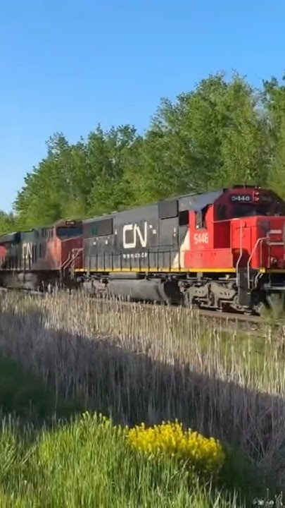CN SD60 5446 - YouTube
