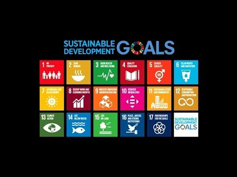 국가 지속가능발전목표(K-SDGs) - YouTube