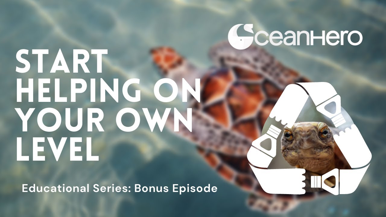 Start Helping On Your Own Level! | OceanHero Education - YouTube