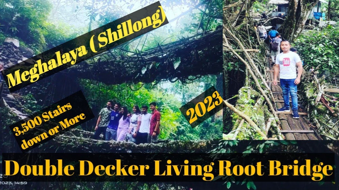 Exploring Meghalaya (Shillong) !! Double Decker Living Root Bridge ...