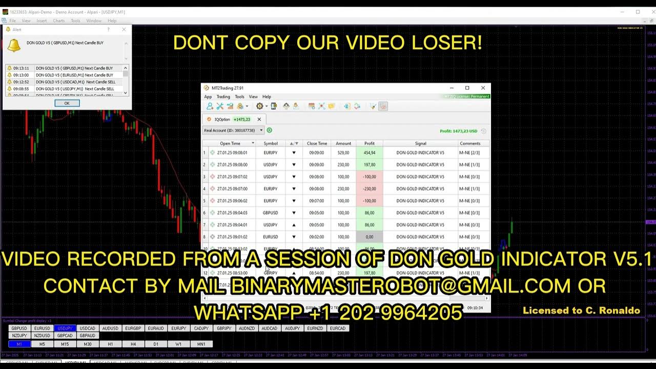 BEST INDICATOR FOR BINARY OPTIONS - DON GOLD V5.1 INDICATOR - YouTube