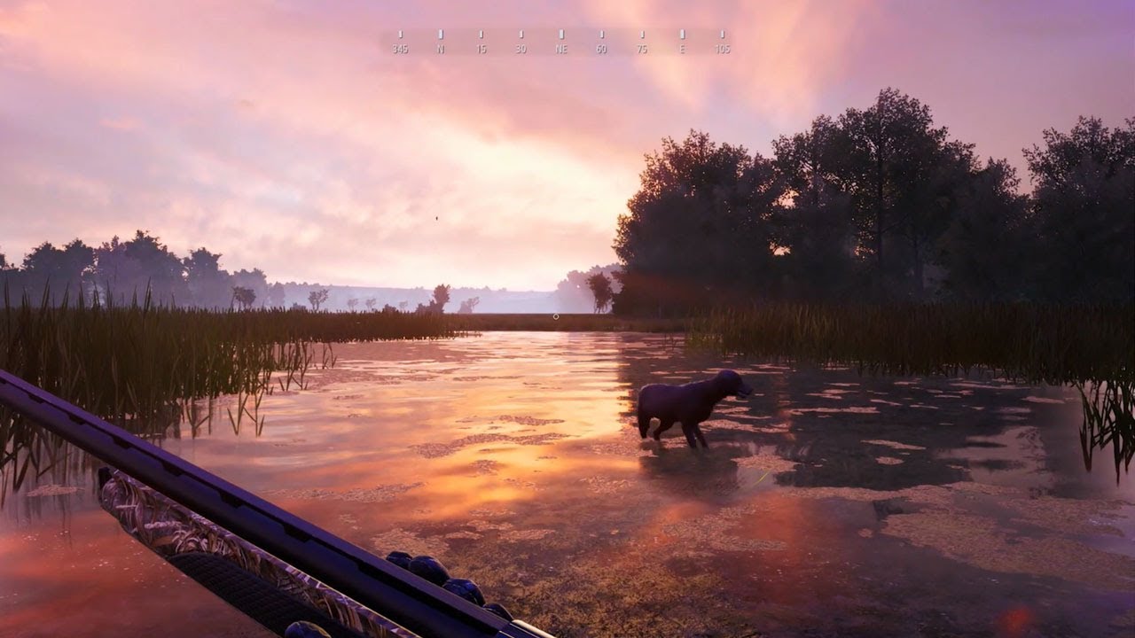 Hunting Simulator 2 – Hunting together with a dog | PS4 - YouTube
