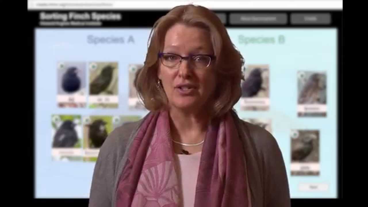HHMI Educator Tips -- Sorting Finch Species - YouTube