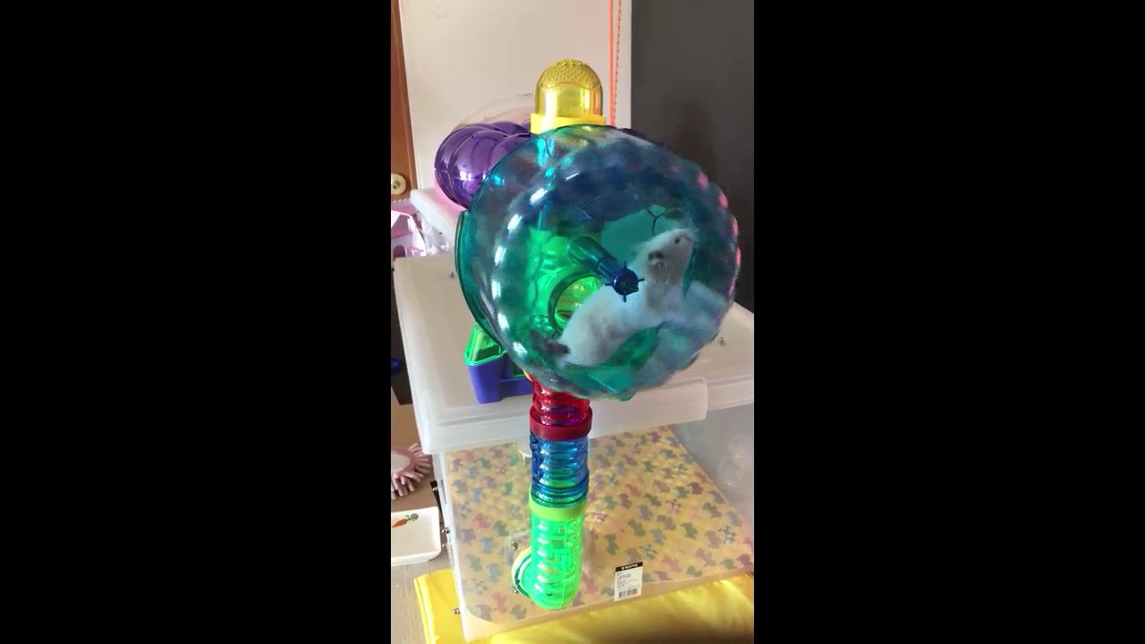 kaytee set - YouTube